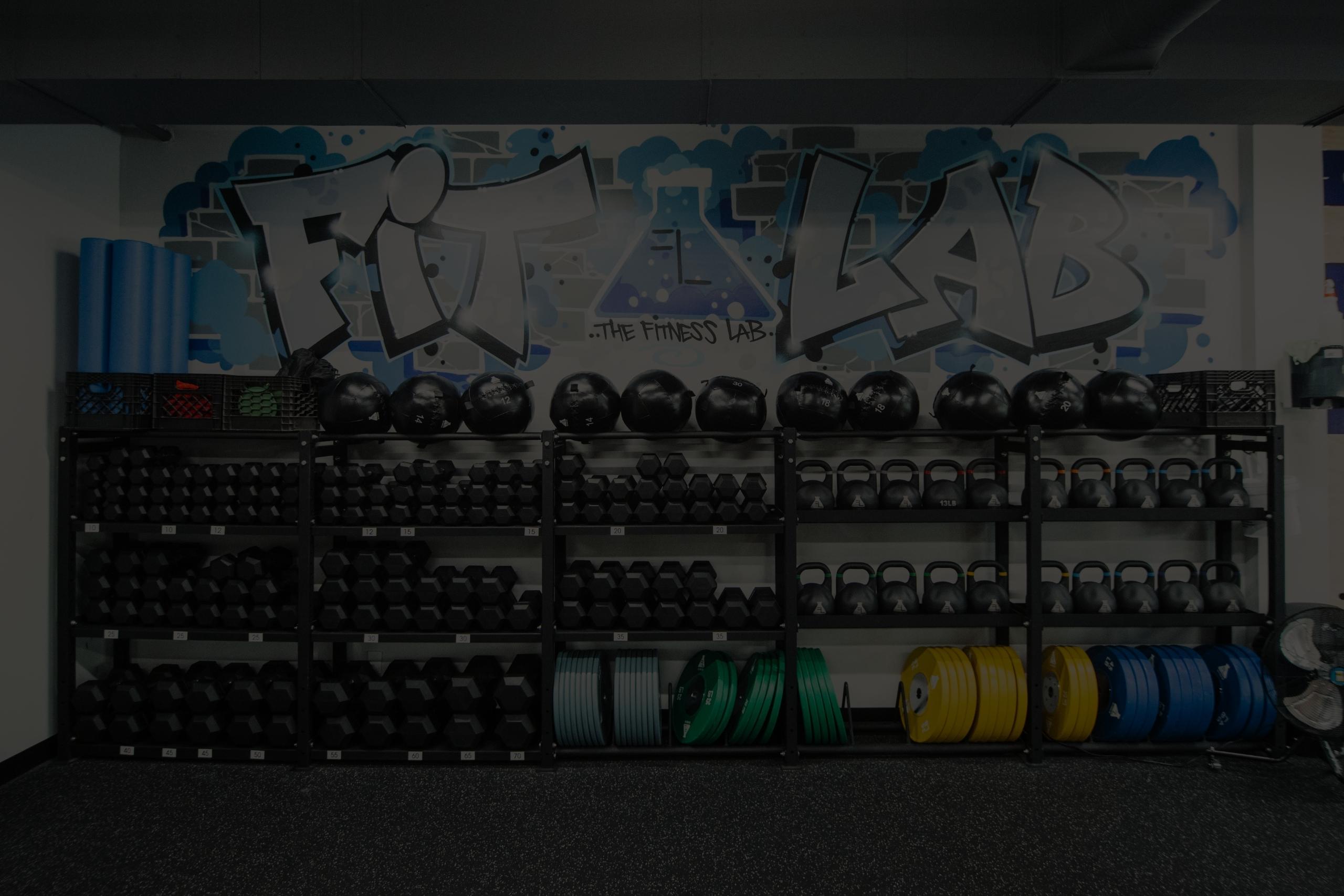 The Fitness Lab